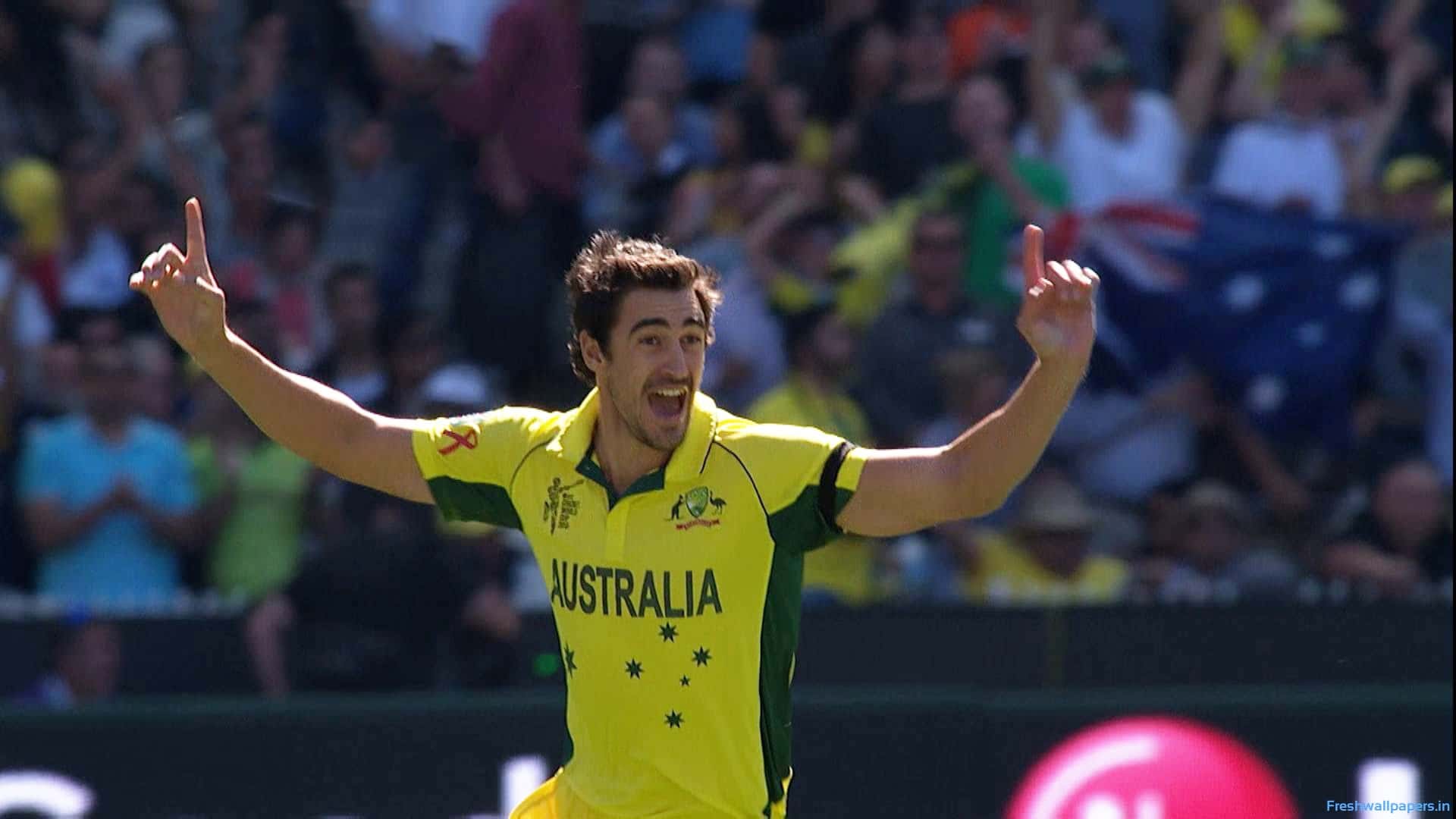 4 reasons why Mitchell Starc is the next big thing - The SportsRush