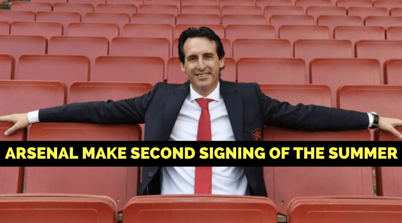 Arsenal have agreed terms with their second signing of the summer - The ...