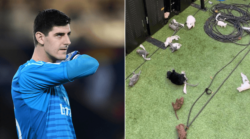 Fans throw rat at Thibaut Courtois during the Madrid derby - The SportsRush