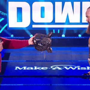 Wyatt Swamp Fight: WWE uses Alligators and snakes as details of the ...