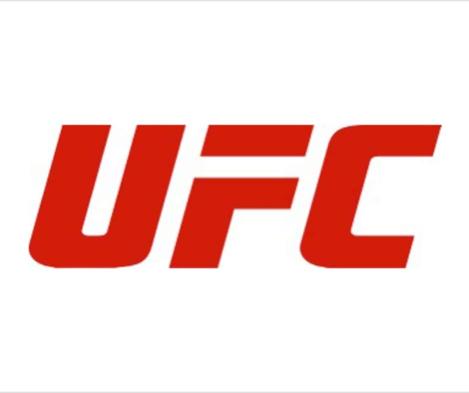 Who are the Current UFC Champions? Individual and Cumulative Win/Loss ...