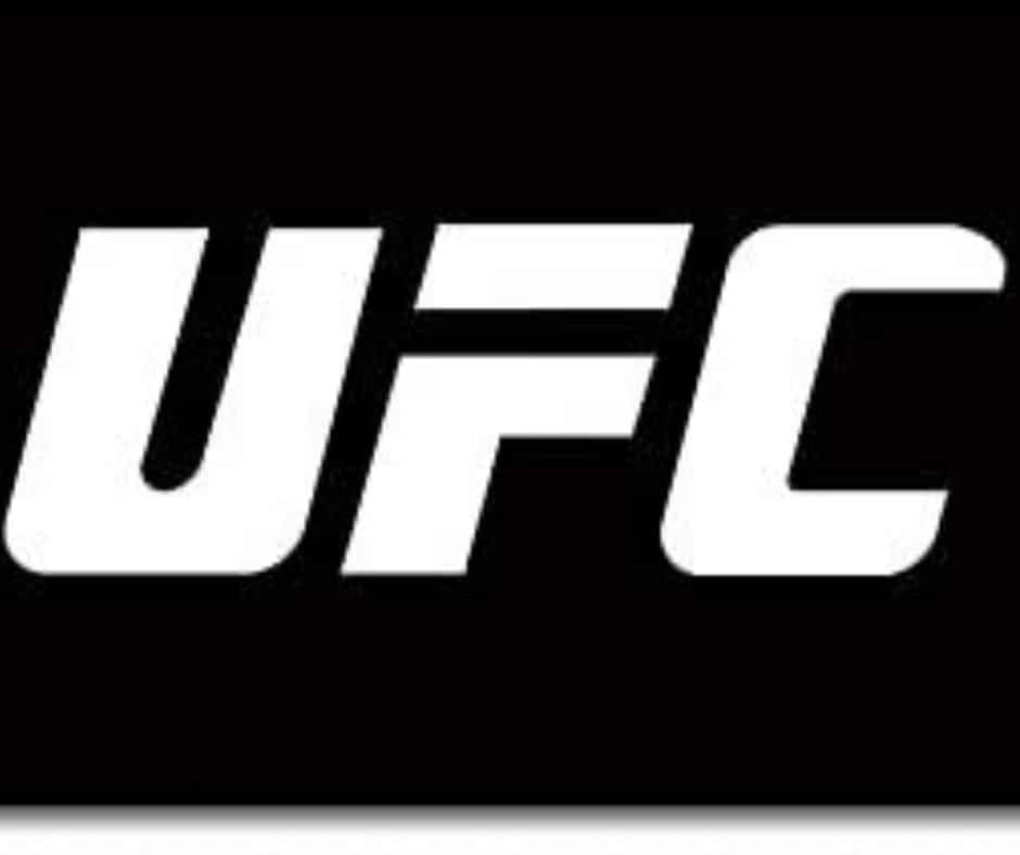 UFC Worth: How Much Does The Company Worth In 2020? - The SportsRush