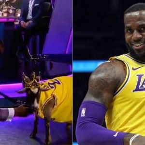 'The Goat's name is Michael Jordan': Shannon Sharpe brings in live goat ...