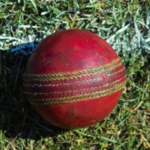 What is Reverse Swing in cricket: How is reverse swing different from ...