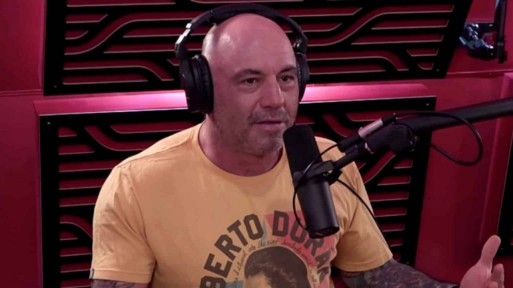 Watch: Rare video of Joe Rogan knocking out an MMA fighter cold emerges ...