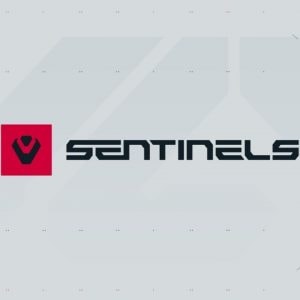 Is the Sentinels Valorant roster Officially back in Business? - The ...