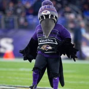 "It could only happen to the Ravens": NFL Twitter blames Ravens' bad ...