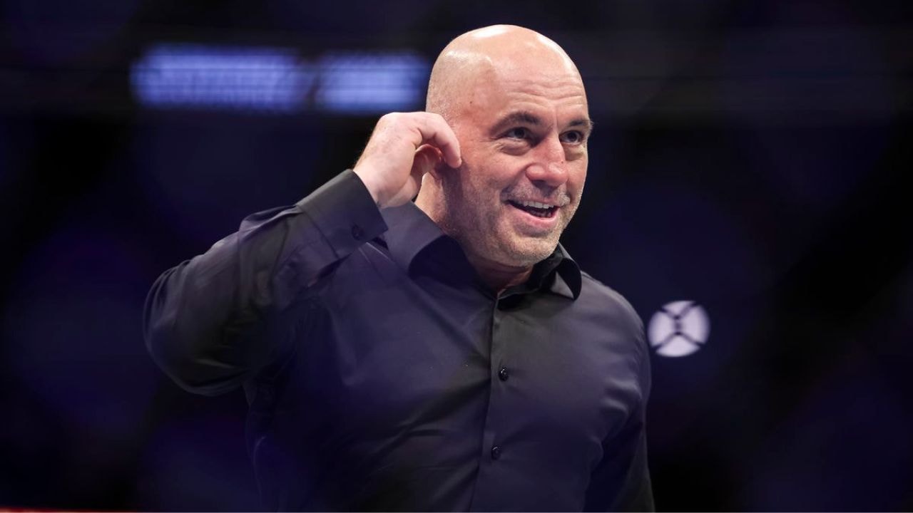 Dana White Once Explained Why $120M Worth Joe Rogan Worked 12 UFC Shows ...
