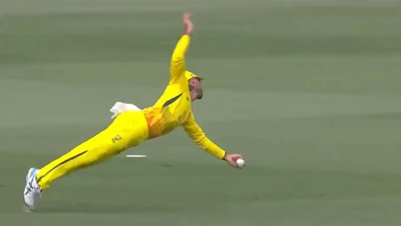 "What a talent the Big Show is": Glenn Maxwell diving catch to dismiss ...