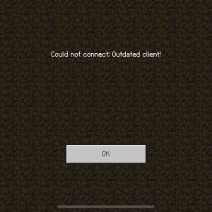 How to Fix an Outdated Client in Minecraft - The SportsRush