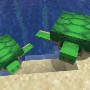 How to Make a Scute in Minecraft - The SportsRush