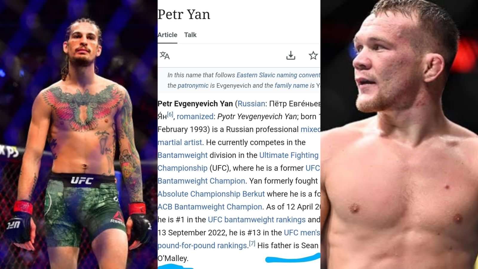 “His Father Is Sean O’Malley”: Petr Yan’s Wikipedia Page Hilariously ...