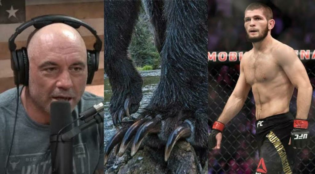 WATCH: Joe Rogan Explains How to Survive ‘F**king Monster’ Alike ...