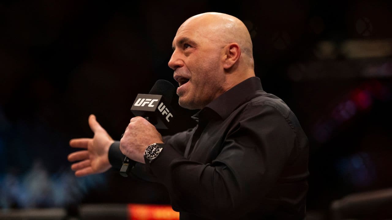 How Much Did Popular UFC Commentator Joe Rogan Make from Fear Factor ...