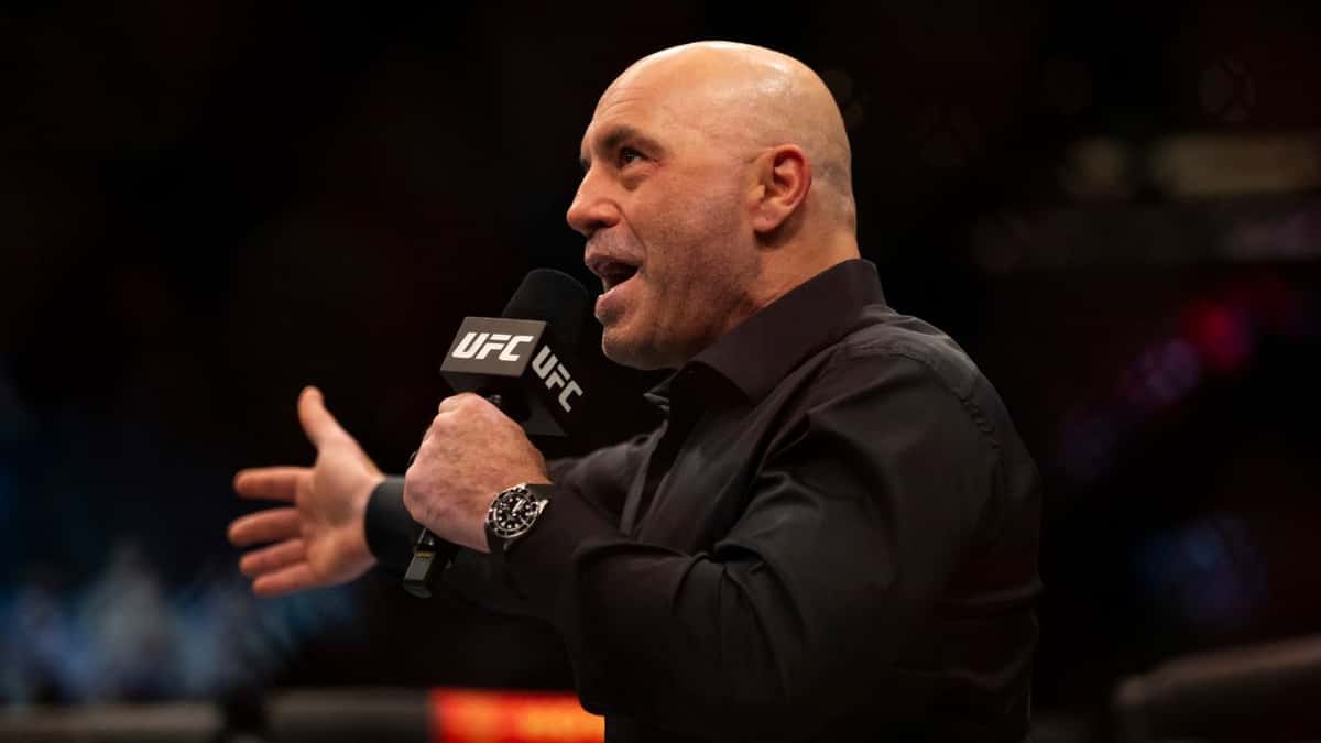 How Much Did Popular UFC Commentator Joe Rogan Make from Fear Factor ...