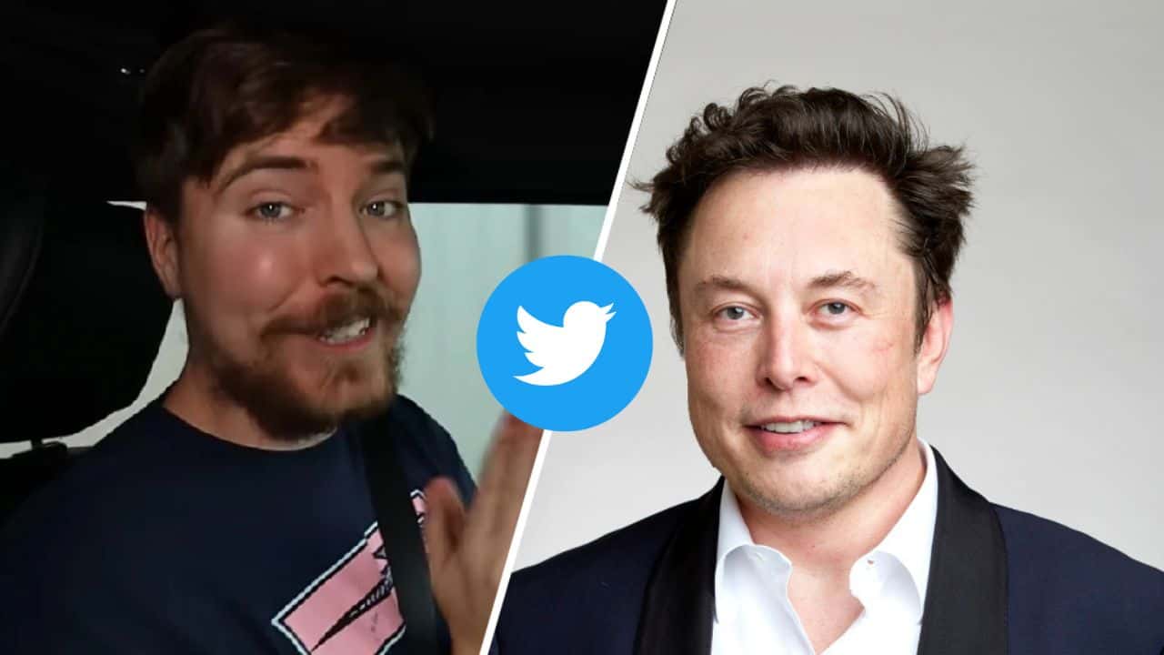 "Who’s really in charge now": MrBeast reveals Twitter CEO Elon Musk is ...
