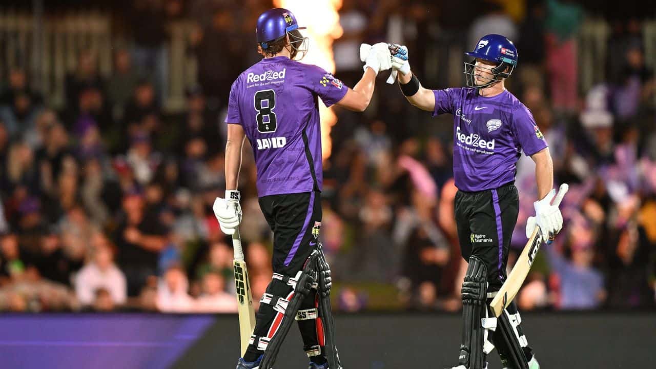 STR vs HUR head to head: Adelaide Strikers vs Hobart Hurricanes head to ...