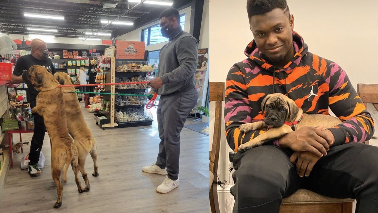 “Scar and Zanos!”: Zion Williamson Explains Reasoning Behind His ...