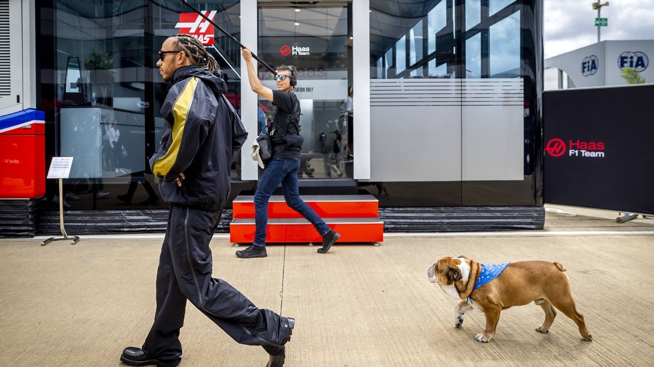 Lewis Hamilton Shares An Adorable Picture From Roscoe's Account ...