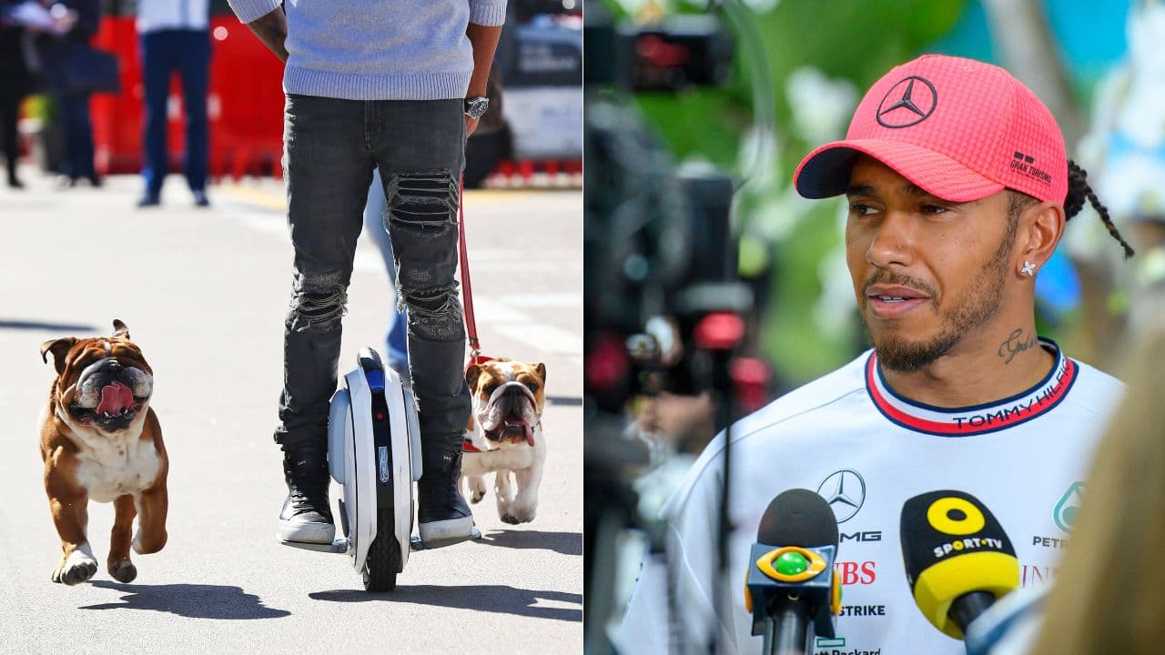 Lewis Hamilton Reminisces the Tragic Death of Roscoe’s Partner in Crime ...