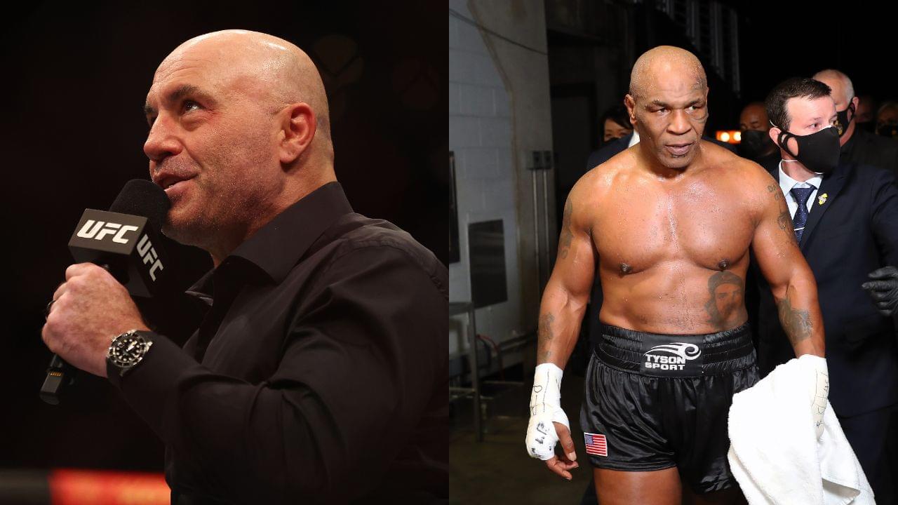 Despite His Scary Persona, Joe Rogan Backed Mike Tyson Against Fan ...