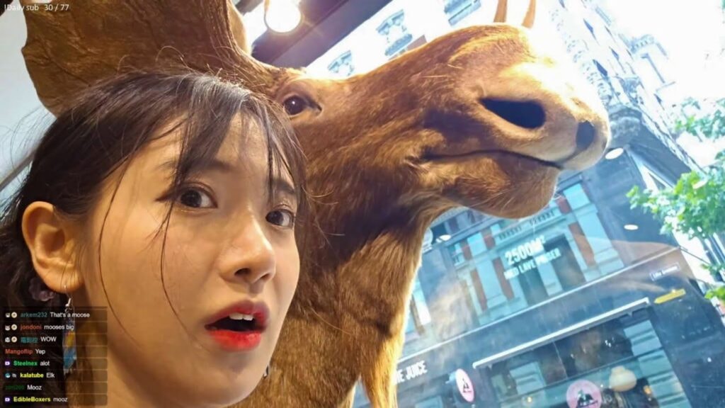 Twitch streamer Jinnytty asked to pay $2500 to continue streaming