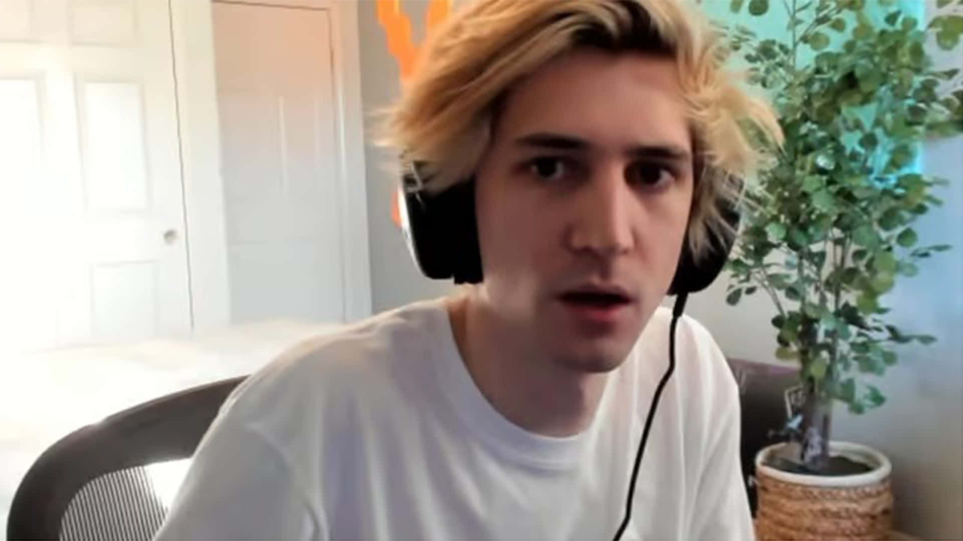 xQc fails to get his face scanned in NBA 2K24, the saga continues - The ...