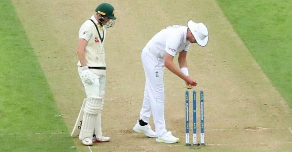 Cricket Bails Price: How Much Do Wooden Bails Cost? - The SportsRush