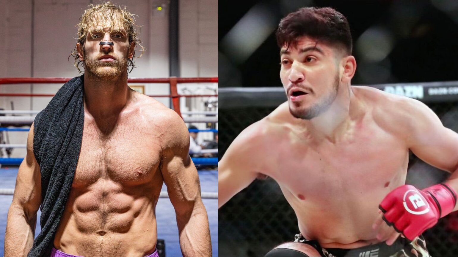 Logan Paul vs Dillon Danis DAZN boxing fight Archives - The SportsRush