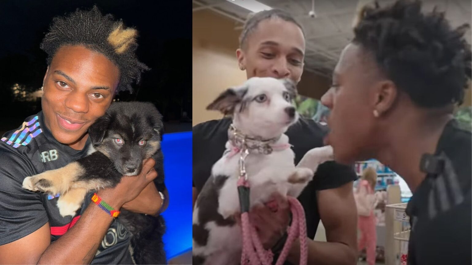 IShowSpeed new pet dog Archives - The SportsRush