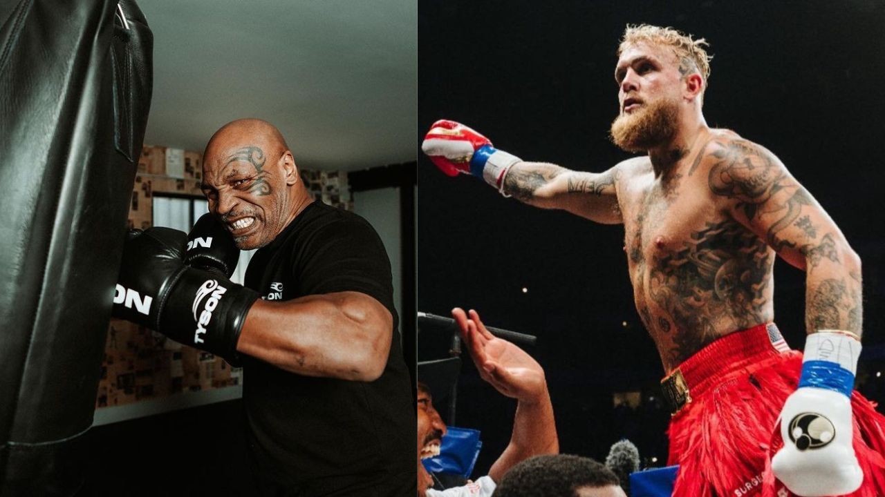 Certain Mike Tyson Will Badly Hurt Jake Paul, Gilbert Arenas Hopes ...