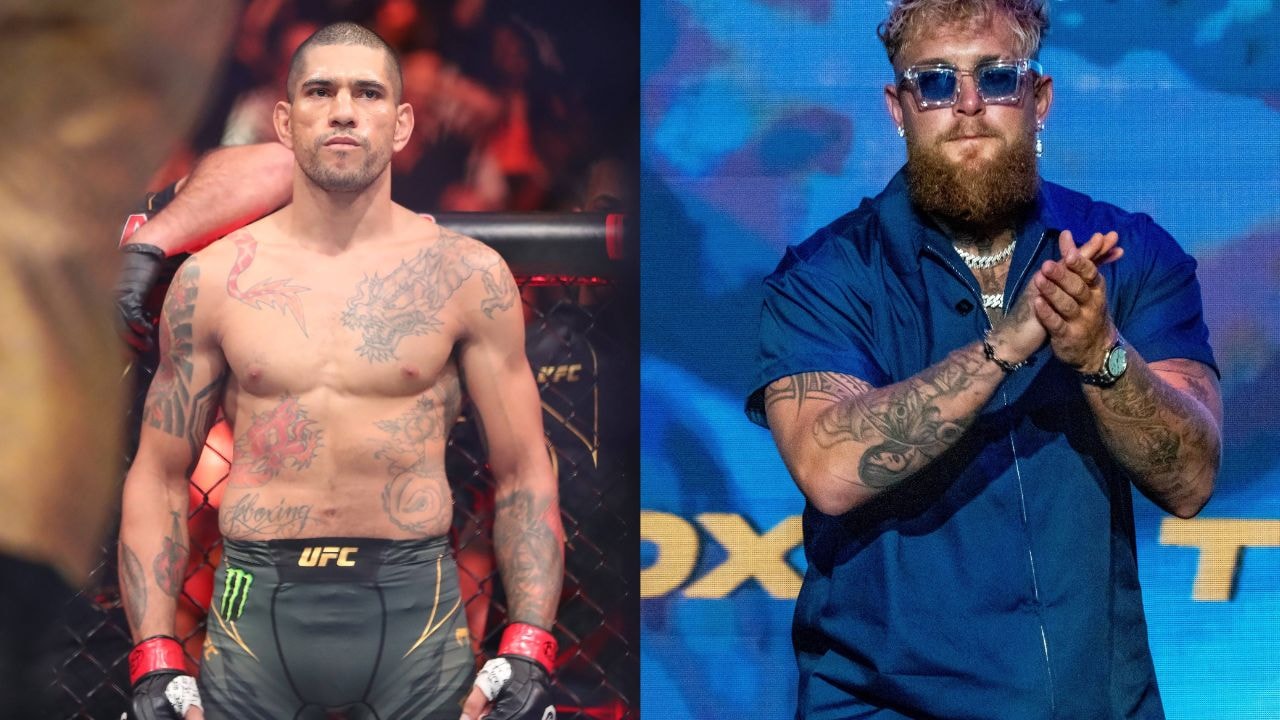 Chael Sonnen Shuts Down Jake Paul, Reminds Him UFC Ref Called Alex ...