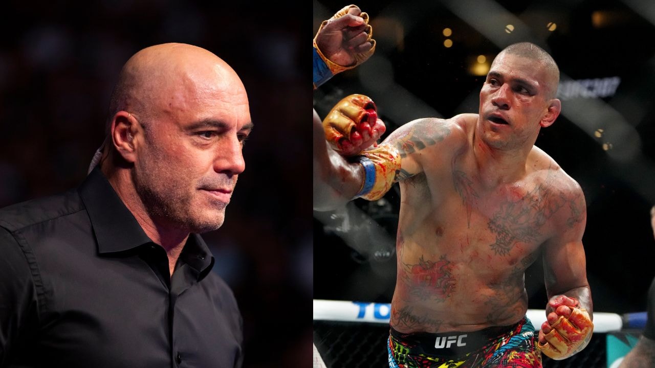 Joe Rogan Believes Alex Pereira is Already Among the Greatest of All ...