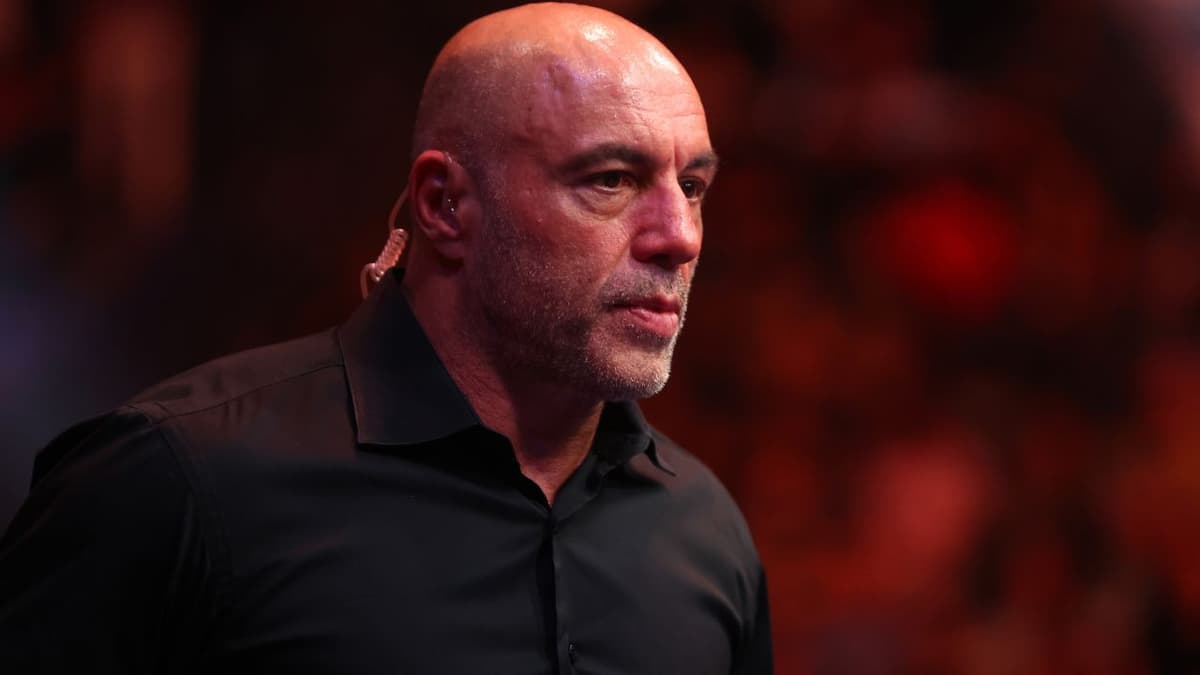 Joe Rogan Feels Insecure Men Who Can’t Fight Get Loud to Hide Their ...